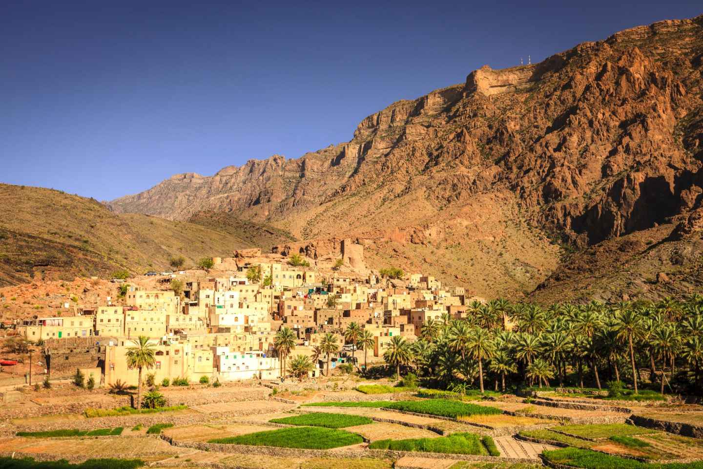 Circuit Emirate & Oman – Perlele Arabiei | Travelistii
